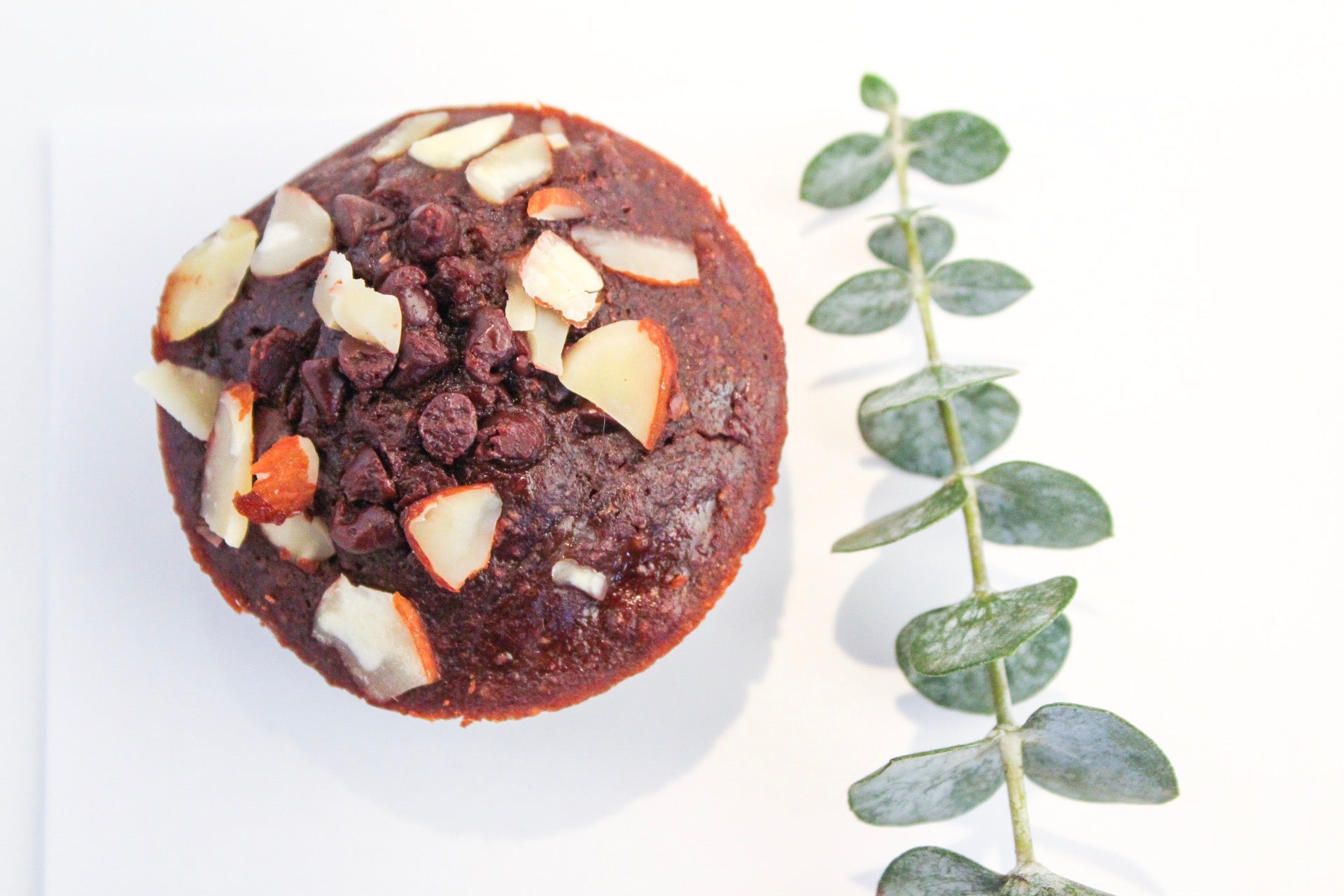 Banana Chocolate Chip Muffins – Stackhouse Orchards